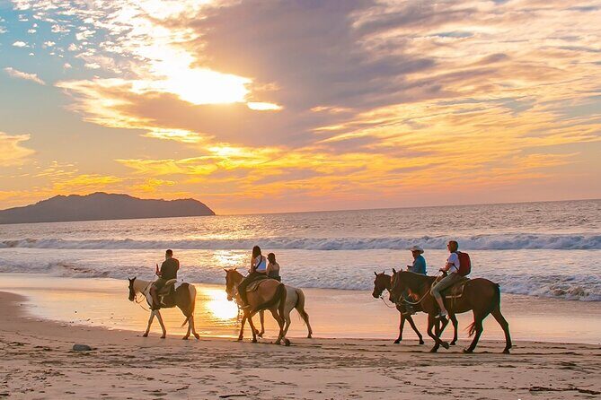 Cabo Shore Excursion: Beach Horseback Ride & Tequila Tasting - Authenticity and Traveler Reviews