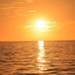Cabo Sunset Catamaran Cruise: El Arco & Open Bar Experience - Authentic Traveler Insights