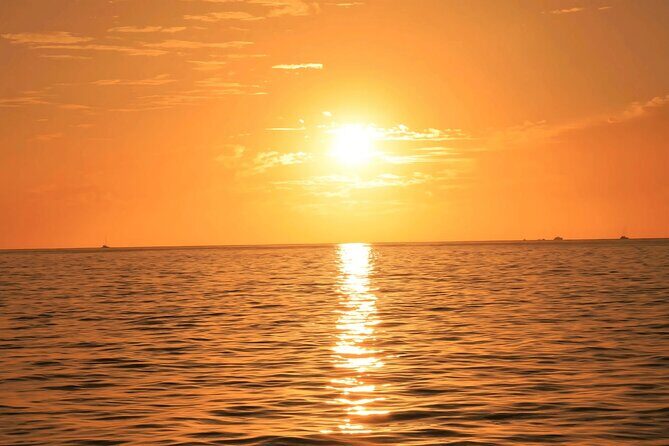 Cabo Sunset Catamaran Cruise: El Arco & Open Bar Experience - Authentic Traveler Insights