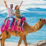 Cabo Tour Mexico Camel and Horseback Ride with ATV Adventure - Who Will Love This Tour?