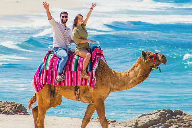 Cabo Tour Mexico Camel and Horseback Ride with ATV Adventure - Who Will Love This Tour?