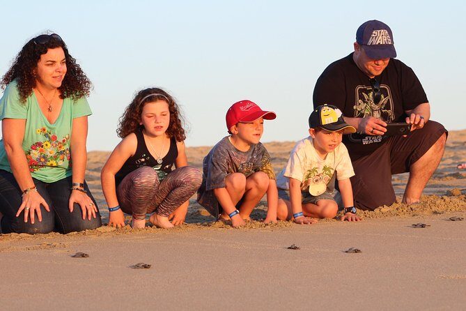 Cabo Turtle Release - Final Thoughts
