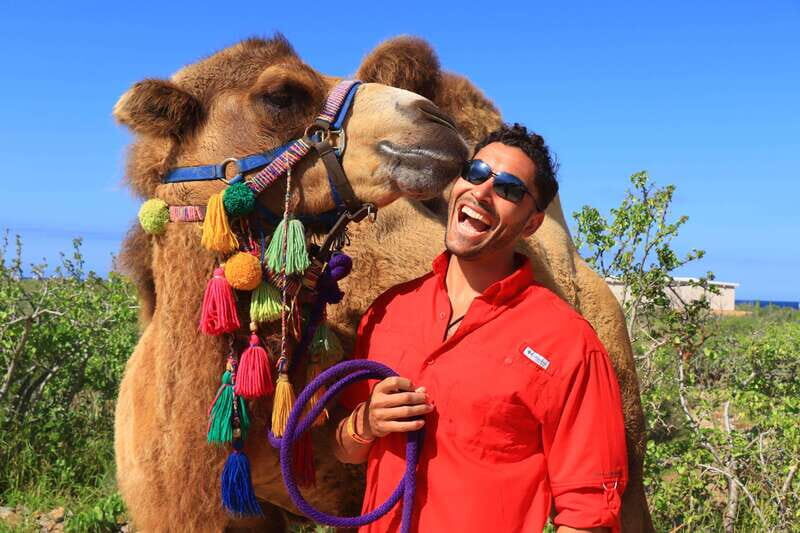 Cabo : UTV and Camel Ride in the Desert - Who Will Enjoy This Tour?