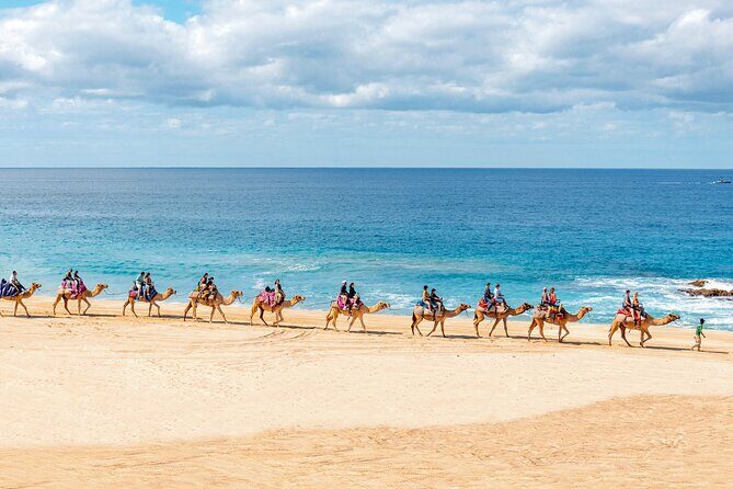 Cabo UTV Tour Free Camel Sky Bike - Who Would Love This Tour?