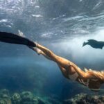 Cabo Wildlife SAFARI - The Itinerary Breakdown
