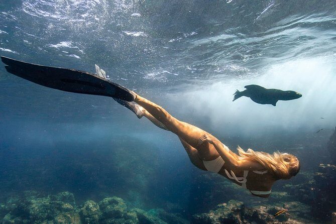 Cabo Wildlife SAFARI - The Itinerary Breakdown