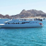 Cabos: Cabo Wave Cruise with Snorkeling, Lunch & Open Bar - Practical Details & Tips