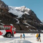 Calgary: Columbia Icefield & Bow Lake & Peyto Lake - Practical Tips for the Trip