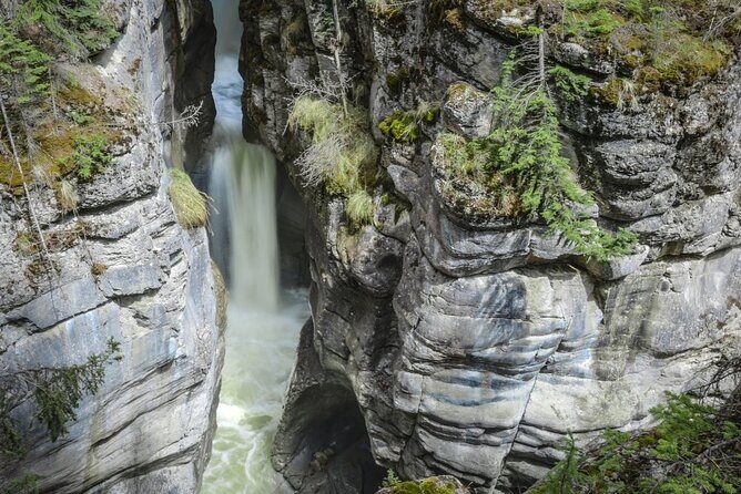 Calgary to Banff & Jasper 3-Day Tour - Transportation and Group Dynamics