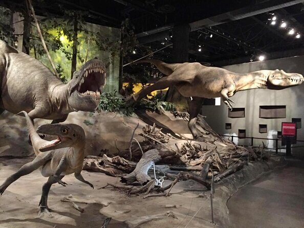 Calgary to Royal Museum | Drumheller  PRIVATE TOUR - FAQs