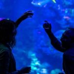 California Academy of Sciences NightLife Plus Admission - The Itinerary and Highlights