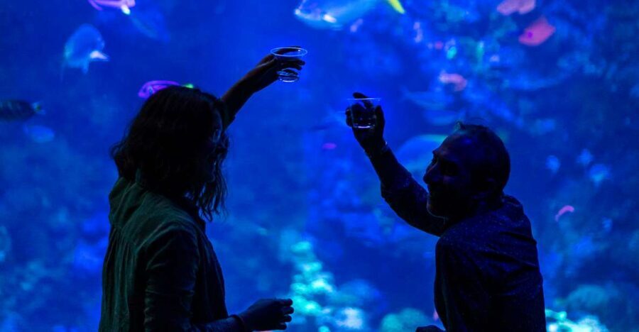 California Academy of Sciences NightLife Plus Admission - The Itinerary and Highlights