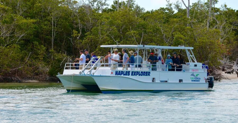 Calm Bay/Coastal Fishing - What to Expect During Your Fishing Trip