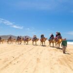 Camel Ride & ATV Combo in Migriño, Mexico - Who Will Love This Tour?
