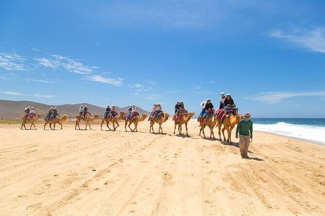 Camel Ride & ATV Combo in Migriño, Mexico - Who Will Love This Tour?