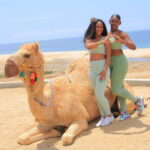 Camel Ride Beach and Desert Adventure. - What’s Included and What’s Not