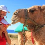 Camel Ride & Encounter at Los Cabos - The Pros and Cons Based on Reviews