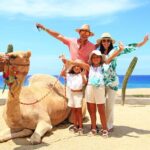 Camel Ride Experience in Los Cabos with Pick up and Lunch - The Group Experience and Personal Touch