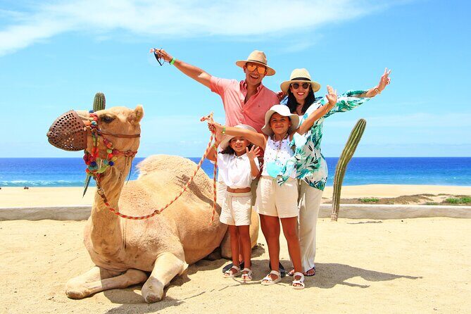 Camel Ride Experience in Los Cabos with Pick up and Lunch - The Group Experience and Personal Touch