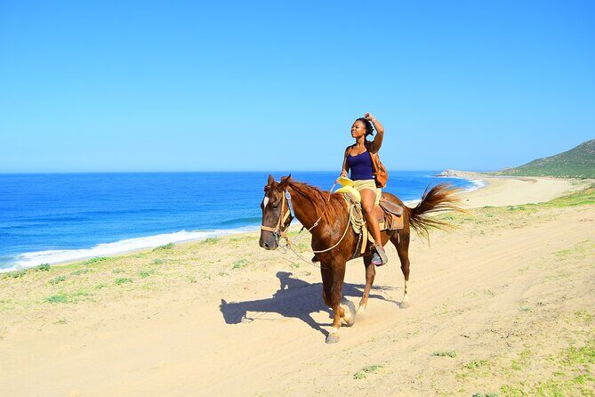 Camel Ride Tour in Los Cabos - The Sum Up