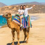 Camel riding experience on the shores of the Pacific Ocean - The Sum Up