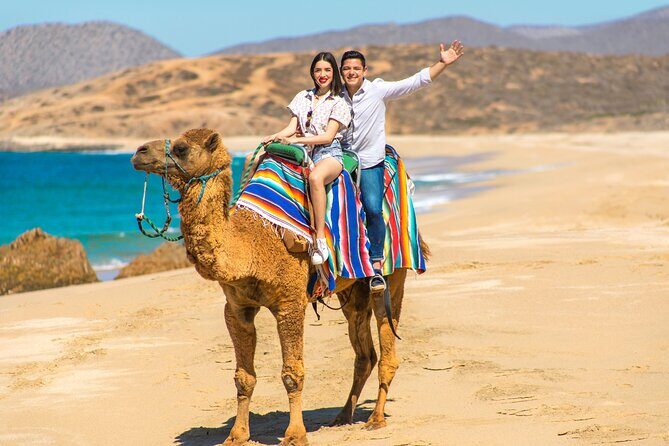 Camel riding experience on the shores of the Pacific Ocean - The Sum Up