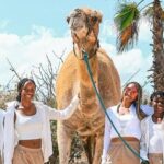 Camel Safari and Gastronomic Experience in Los Cabos - Final Thoughts