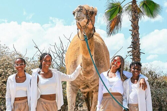 Camel Safari and Gastronomic Experience in Los Cabos - Final Thoughts