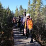 Cameron Falls Hiking Tour - The Itinerary Breakdown