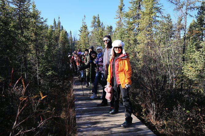Cameron Falls Hiking Tour - The Itinerary Breakdown