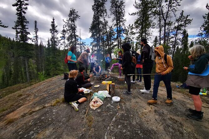Cameron Falls Tour Custom Waterfall Hiking - Authentic Encounters and Traveler Feedback