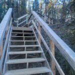 Cameron Falls Waterfall Tour - Authentic Experiences & Feedback from Other Travelers