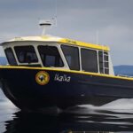 Campbell River: 6 Hour Covered Whale Watching Tour w/ Lunch - What the Reviews Say