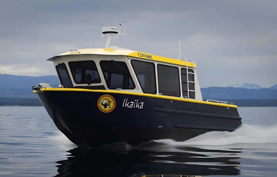 Campbell River: 6 Hour Covered Whale Watching Tour w/ Lunch - What the Reviews Say