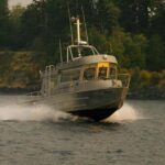 Campbell River: 7-Hour Big Animal Encounter Boat Tour - The Practical Side: What to Expect