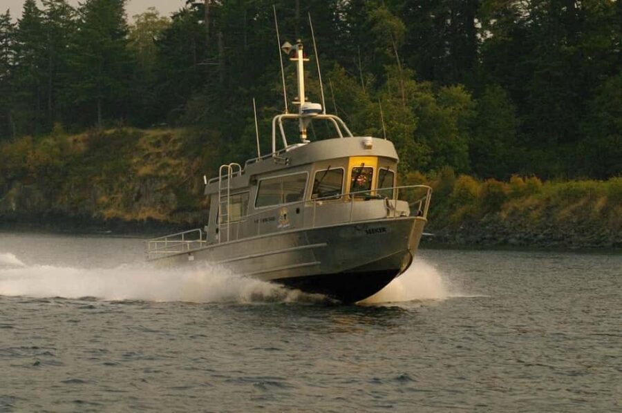 Campbell River: 7-Hour Big Animal Encounter Boat Tour - The Practical Side: What to Expect