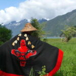Campbell River: Deluxe Grizzlies & Indigenous Culture tour - The Verdict: Who Will Love This Tour?