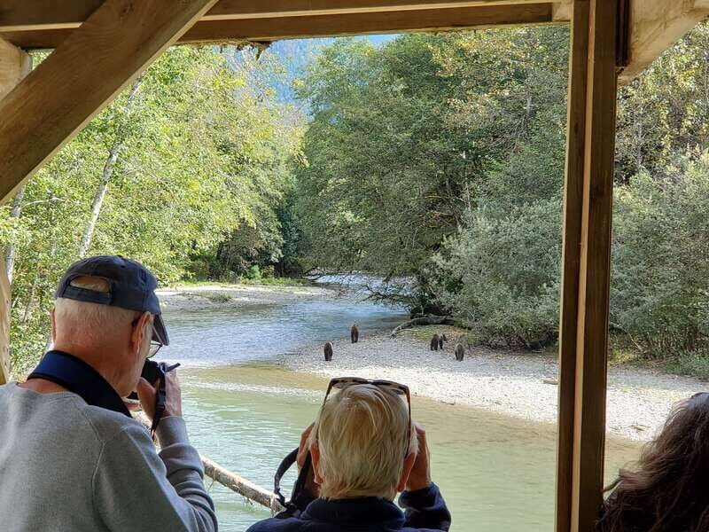 Campbell River: Grizzly Bear-Watching Tour with Lunch - Price and Value