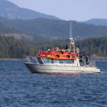 Campbell River: Kayaking and Whale Watching Tour - Why This Tour Works Well