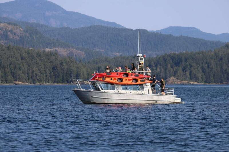 Campbell River: Kayaking and Whale Watching Tour - Why This Tour Works Well