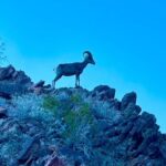 Camping Las Vegas Trip from Base of Hoover Dam, Black Canyon - Why This Trip Offers Great Value