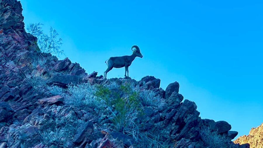 Camping Las Vegas Trip from Base of Hoover Dam, Black Canyon - Why This Trip Offers Great Value