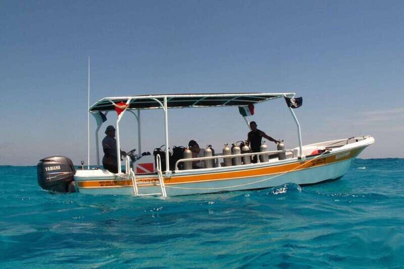 Cancún: 2-Day PADI Open Water Diving Course - Detailed Breakdown of the Experience