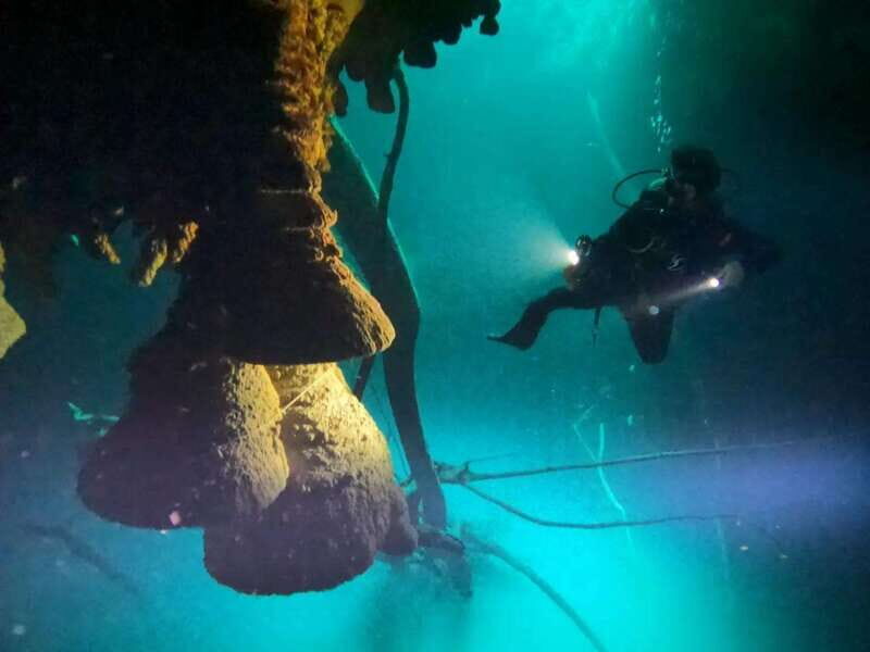 Cancun: 2 Dives in Cenotes Ki Ha + Zapote - Certified Divers - Detailed Breakdown of the Experience