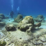 Cancun: 2-Tank Dive for Beginners with MUSA and Reef Dive - What’s Included and What to Consider