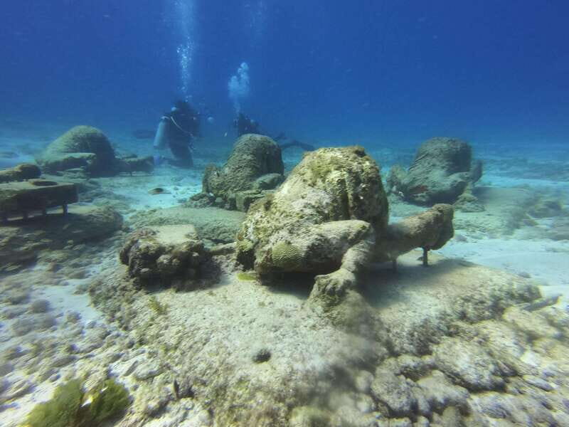 Cancun: 2-Tank Dive for Beginners with MUSA and Reef Dive - What’s Included and What to Consider
