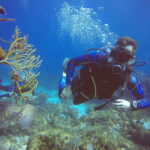 Cancun: 3 Days SDI Open Water Diver Certification - The Learning Experience and Instruction