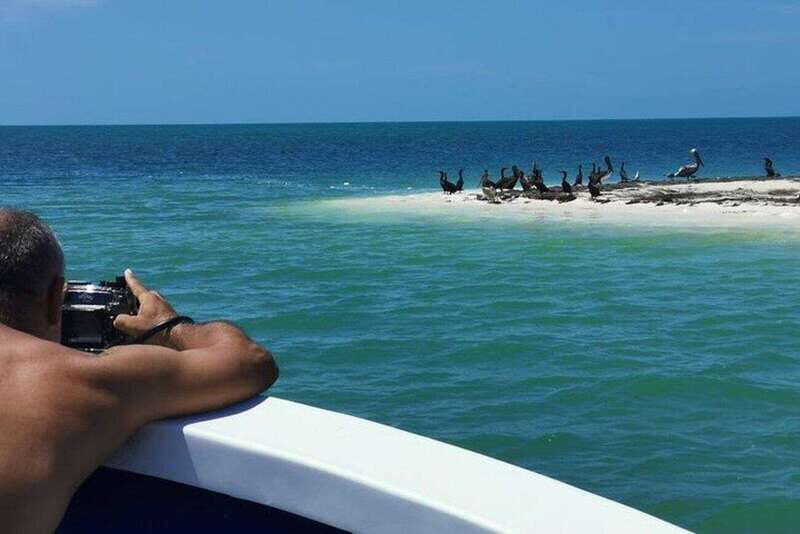 Cancun: 3 Islands Snorkel Adventure - What to Expect: A Practical Breakdown