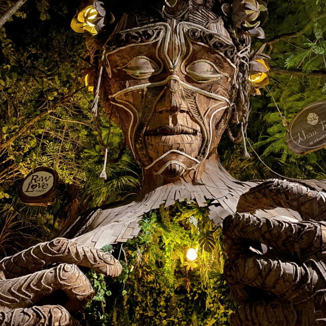 Cancun 4x1: Coba, Tulum, Playa del Carmen, and a Cenote - What We Like About This Tour