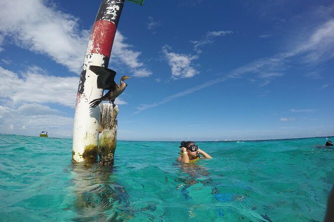 Cancun Adventure: Reef Snorkeling & Parasailing Experience - Who Should Consider This Tour?